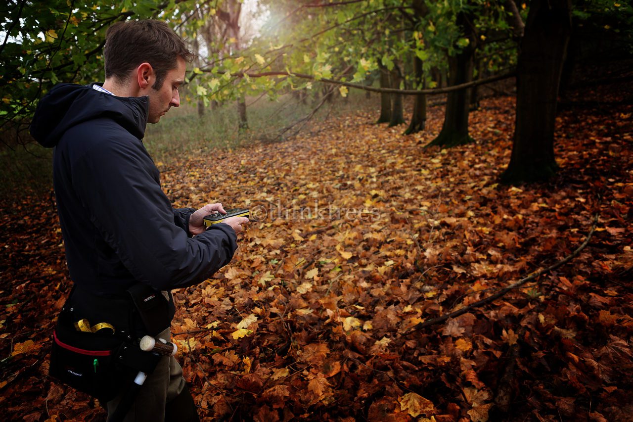 Tree stability testing to assess likelihood of tree failure