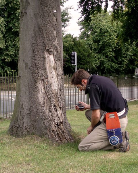 A scientific and holistic approach to tree care