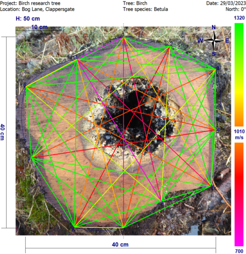 Interpreting Arbotom sonic tomography results - Example no.1 | Think Trees