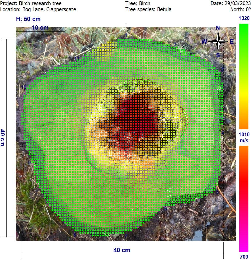 Interpreting Arbotom sonic tomography results - Example no.1 | Think Trees