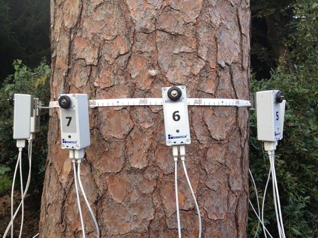 Our latest piece of equipment for detailed tree decay detection, the ...