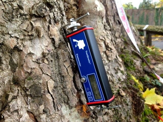 Our latest piece of equipment for detailed tree decay detection, the ...